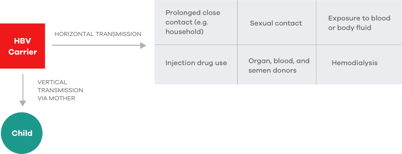 How to Screen and Diagnose Hepatitis B | HepBMD®
